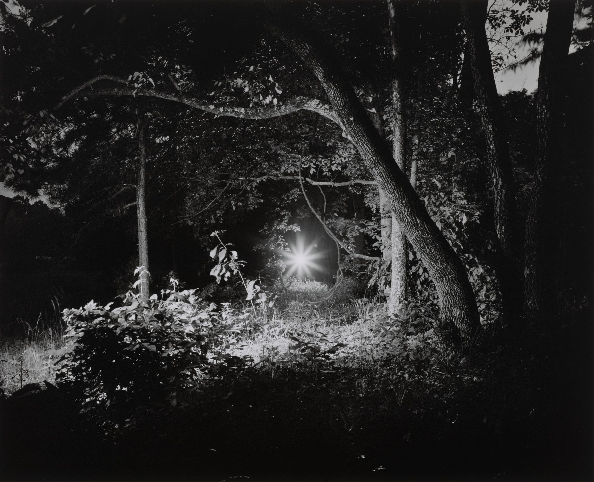 Strange and Familiar Places | Nelson Atkins