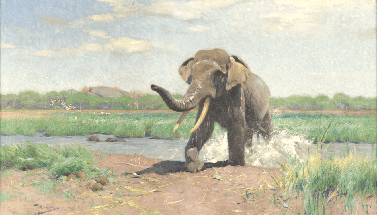 Survival of the Fittest: Picturing Wildlife and Wilderness | Nelson Atkins