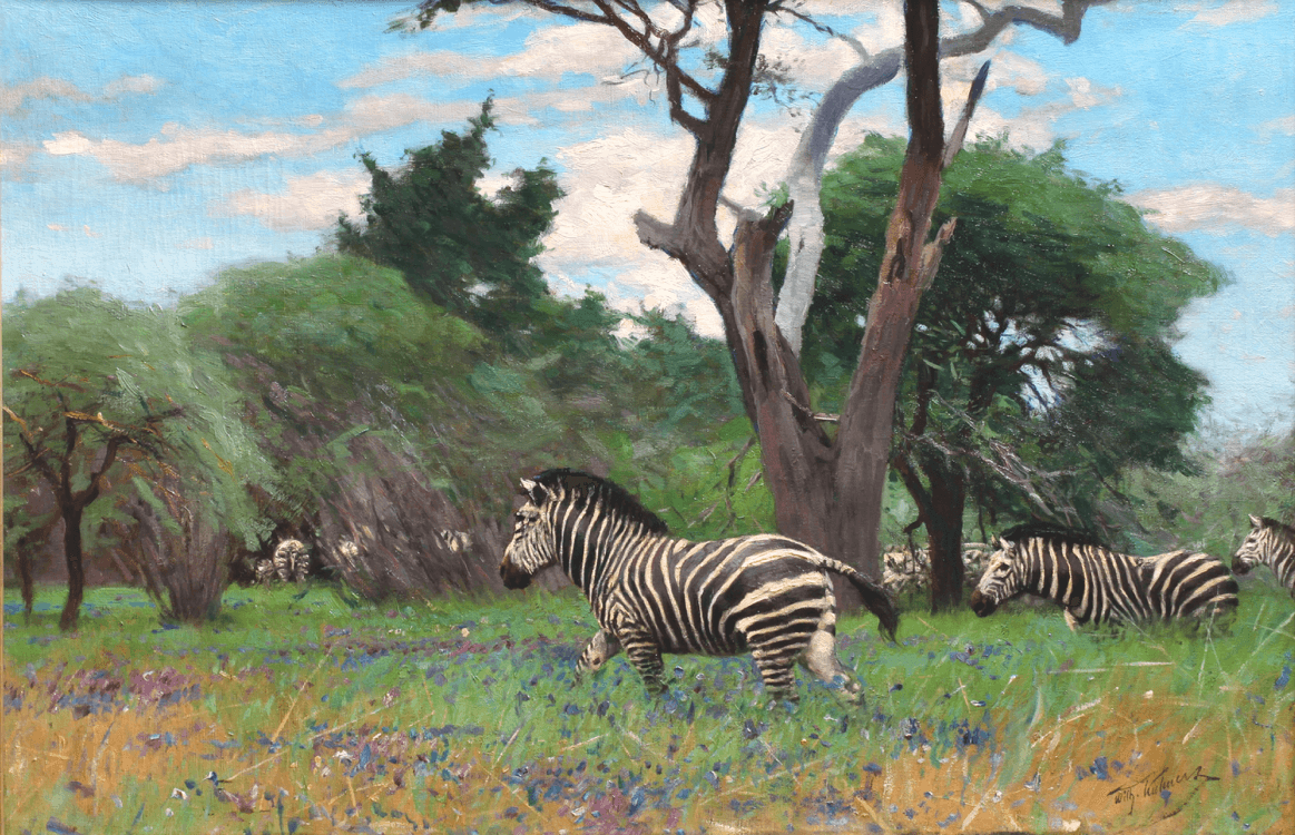 Survival of the Fittest: Picturing Wildlife and Wilderness | Nelson Atkins